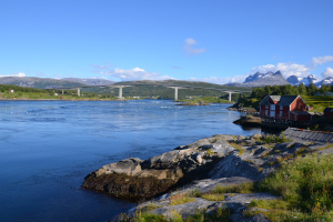 Schwimmend durch den Saltstraumen